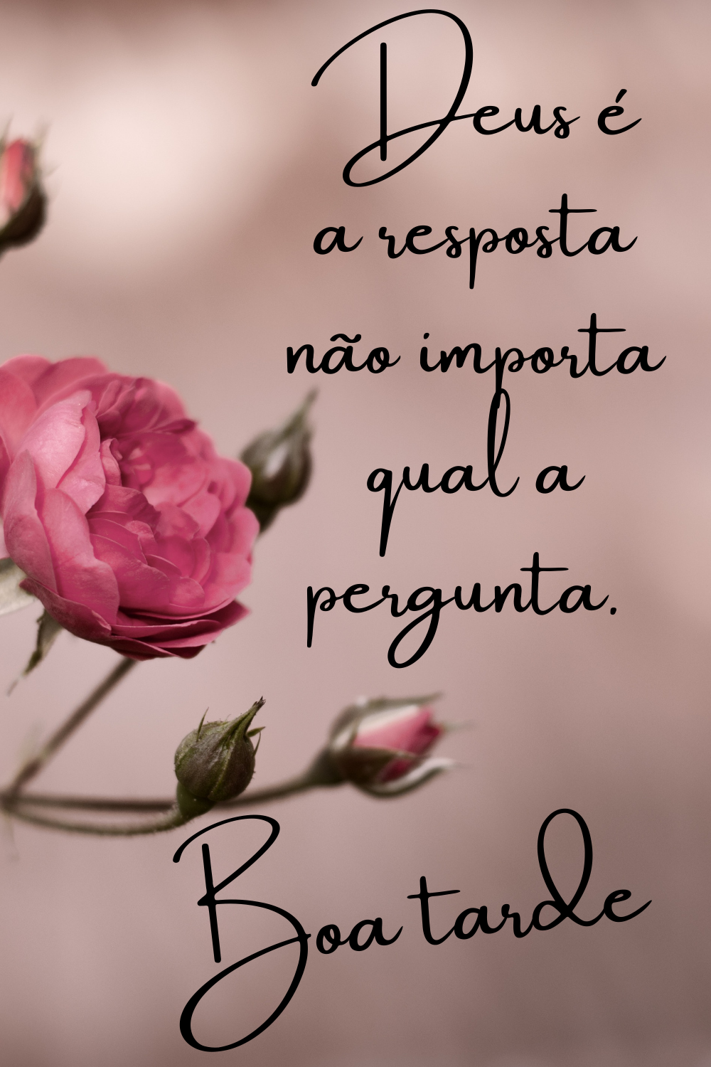 Frases e mensagens de Boa Tarde com Carinho | Focalizando